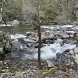 Laurel River Trail, North Carolina - 1,554 Reviews, Map | AllTrails