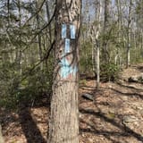 Whitestone Cliffs Trail, Connecticut - 609 Reviews, Map | AllTrails