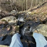 Whitestone Cliffs Trail, Connecticut - 609 Reviews, Map | AllTrails