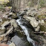 Whitestone Cliffs Trail, Connecticut - 609 Reviews, Map | AllTrails