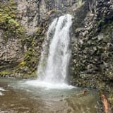 Fall Creek Falls Trail, Oregon - 375 Reviews, Map | AllTrails