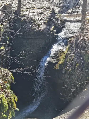 Best Hikes and Trails in Nelson-Kennedy Ledges State Park | AllTrails