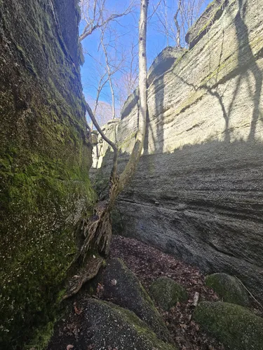 Best Hikes and Trails in Nelson-Kennedy Ledges State Park | AllTrails