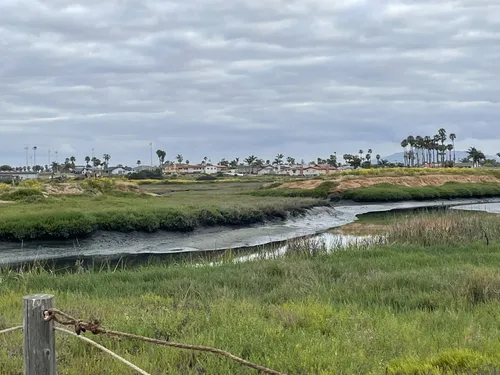 Best Hikes and Trails in Tijuana Slough National Wildlife Refuge ...