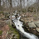 Zoar Trail, Connecticut - 2,148 Reviews, Map | AllTrails