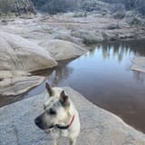 Ellison Creek Cascades, Arizona - 616 Reviews, Map | AllTrails