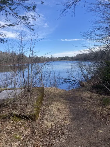 Best Lake Trails in Irishtown Nature Park | AllTrails