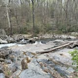 Difficult Run Trail, Virginia - 694 Reviews, Map | AllTrails
