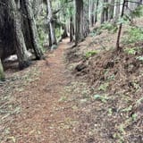 Suttle Lake Loop, Oregon - 857 Reviews, Map | AllTrails