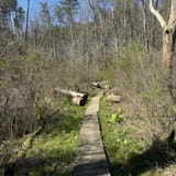 Mogadore Reservoir via Buckeye Trail, Ohio - 499 Reviews, Map | AllTrails