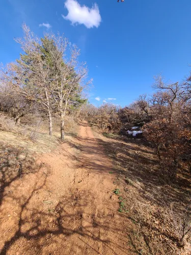 Best Wild Flowers Trails in Sandstone Ranch Open Space | AllTrails