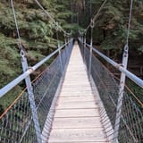 Drift Creek Suspension Bridge and Waterfall (Trail #1378), Oregon ...