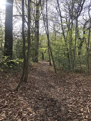 Best Hikes and Trails in Oxhey Woods Local Nature Reserve | AllTrails