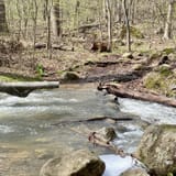 Little Devils Stairs and Piney Branch Loop, Virginia - 577 Reviews, Map ...