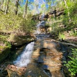 Hidden Falls Trail, South Carolina - 721 Reviews, Map | AllTrails
