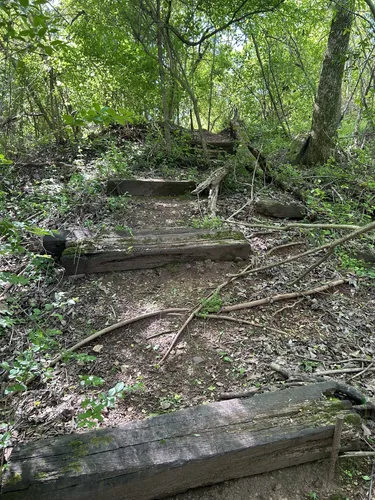 Best Easy Trails in Red Mountain Park | AllTrails