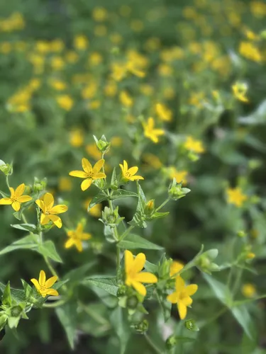 Best Lake Trails in Cedar Hill State Park | AllTrails