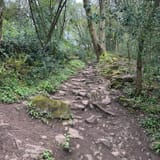 Tintern Abbey and Devil's Pulpit Circular, Monmouthshire, Wales - 688 ...