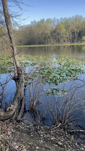 Best Hikes and Trails in Perry County Community Lake | AllTrails