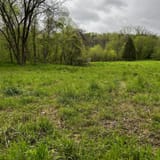 Pony Pasture Rapids Trails, Virginia - 1,473 Reviews, Map | AllTrails