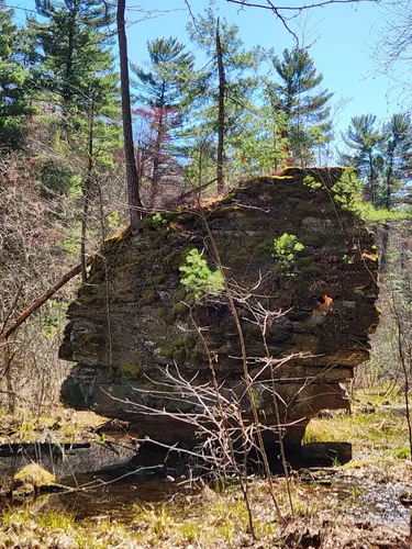 Best Forest Trails in Wisconsin Dells | AllTrails