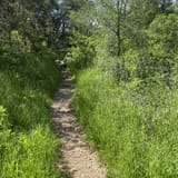 Pickett Trail, Texas - 656 Reviews, Map | AllTrails