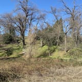 Oak Glen Preserve Trails, California - 655 Reviews, Map | AllTrails