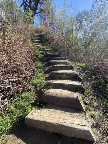 Best Wheelchair Friendly Trails in The Wildlands Conservancy Oak Glen ...