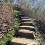 Oak Glen Preserve Trails, California - 792 Reviews, Map | AllTrails