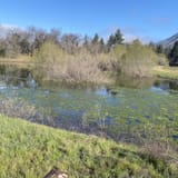 Oak Glen Preserve Trails, California - 655 Reviews, Map | AllTrails