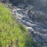 Oak Glen Preserve Trails, California - 655 Reviews, Map | AllTrails