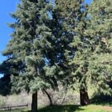 Oak Glen Preserve Trails, California - 655 Reviews, Map | AllTrails