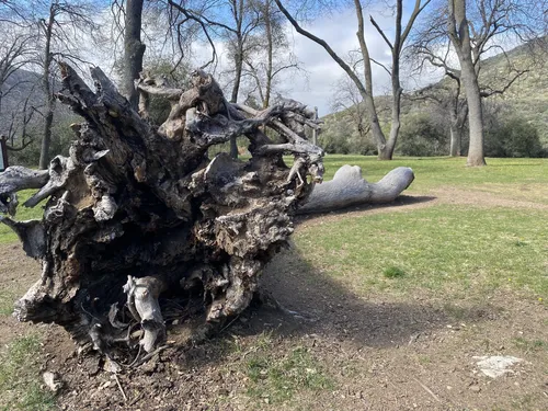 Best Wheelchair Friendly Trails in The Wildlands Conservancy Oak Glen ...