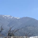 Oak Glen Preserve Trails, California - 792 Reviews, Map | AllTrails