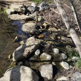 Oak Glen Preserve Trails, California - 677 Reviews, Map | AllTrails