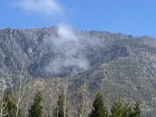 Best Wheelchair Friendly Trails in The Wildlands Conservancy Oak Glen ...