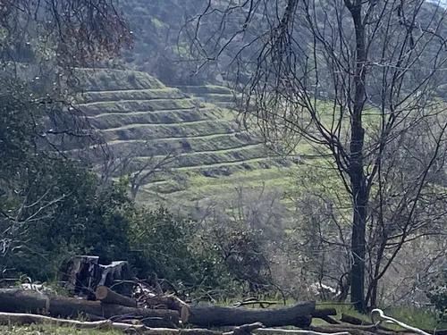 Best Wheelchair Friendly Trails in The Wildlands Conservancy Oak Glen ...