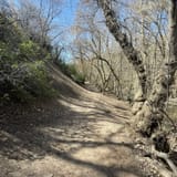 Memory Grove Trail, Utah - 1,368 Reviews, Map | AllTrails