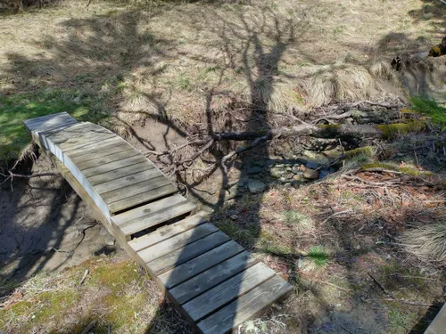 Best Snowshoeing Trails in Deer Isle | AllTrails