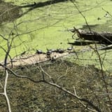 Ohio and Erie Canal Towpath: Canal Fulton to Massillon, Ohio - 287 ...