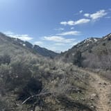 Kelly Canyon Trail, Idaho - 338 Reviews, Map | AllTrails