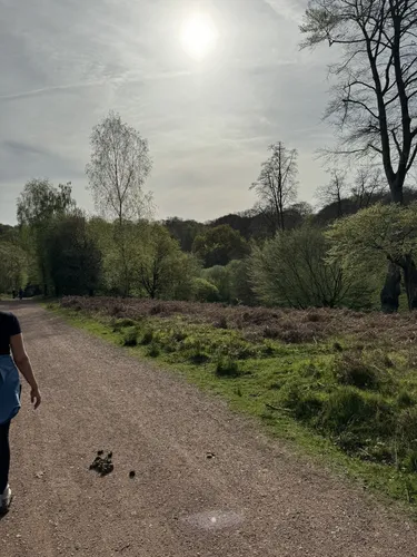 Best River Trails in Epping Forest | AllTrails
