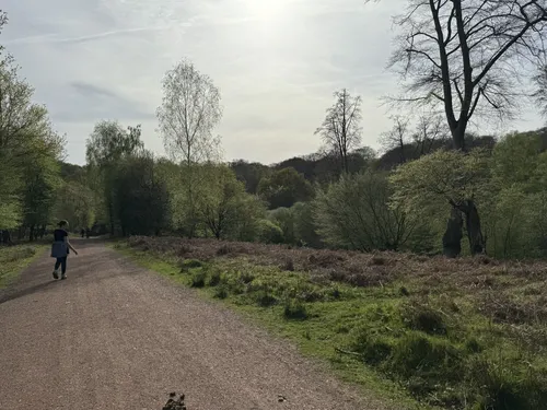 Best River Trails in Epping Forest | AllTrails