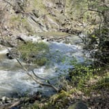 Laurel River Trail, North Carolina - 1,554 Reviews, Map | AllTrails