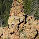 Columbine Trail, Colorado - 1,943 Reviews, Map | AllTrails