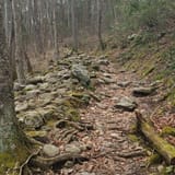 Zoar Trail, Connecticut - 2,148 Reviews, Map | AllTrails