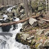 Zoar Trail, Connecticut - 2,148 Reviews, Map | AllTrails
