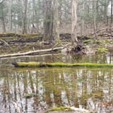 Zoar Trail, Connecticut - 2,148 Reviews, Map | AllTrails