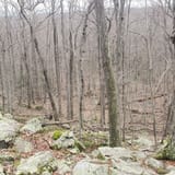 Zoar Trail, Connecticut - 2,148 Reviews, Map | AllTrails