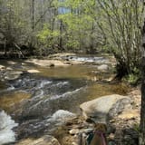 Peter's Creek Heritage Trail, South Carolina - 359 Reviews, Map | AllTrails